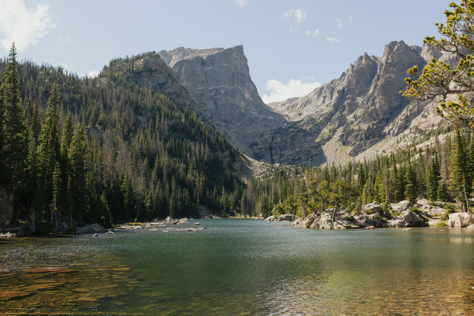 The 8 Best Hikes in the Bear Lake Road Corridor in Rocky Mountain ...