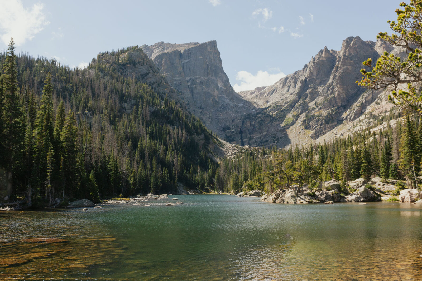 The 8 Best Hikes in the Bear Lake Road Corridor in Rocky Mountain ...