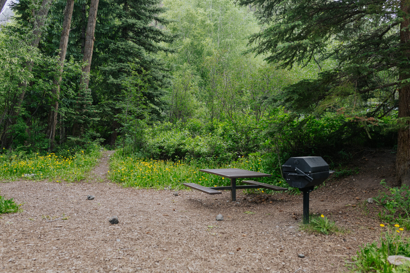 The 8 Best Hikes in the Bear Lake Road Corridor in Rocky Mountain ...